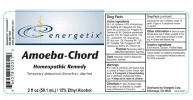 Kids Parasite Protocol Kit – Recreated Health